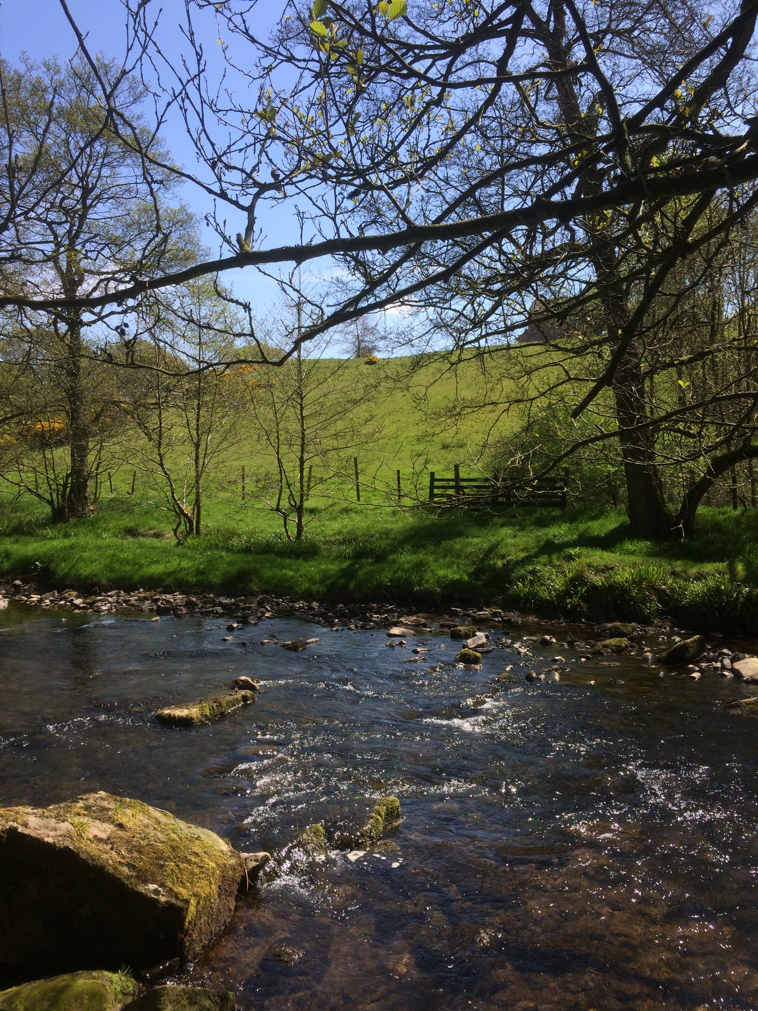 2021 Wincle Trout Race (BS) - Peaks Race Series - Macclesfield Harriers ...